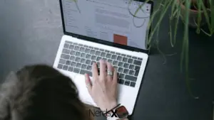 How To Embed A PDF In Gmail | Step By Step Guide – TechBiva | Everything of Tech